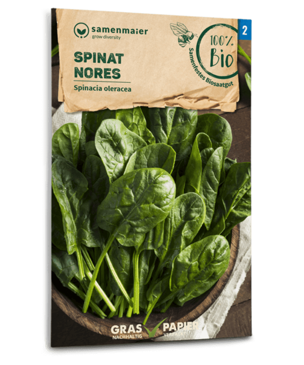 Gefällt nicht nur Popeye: Spinat aus bestem Bio-Saatgut. Jetzt bestellen!